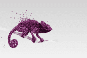 Implementing Automatic Exchange of Information (AEOI) Reporting ...